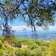 MT. BURDELL OPEN SPACE PRESERVE - 164 Photos & 42 Reviews - Novato, CA ...