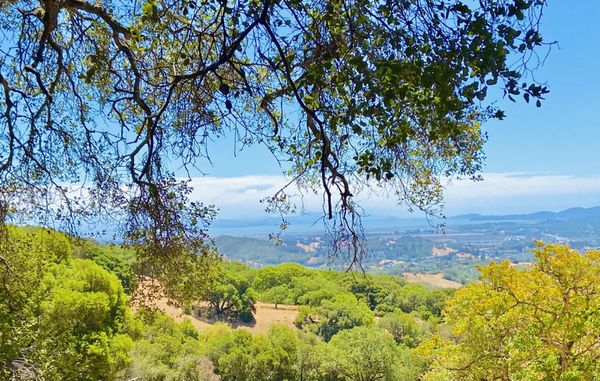 MT. BURDELL OPEN SPACE PRESERVE - Updated July 2024 - 154 Photos & 45 ...