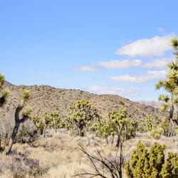 KEYS VIEW - 324 Photos & 23 Reviews - Joshua Tree's National Park ...