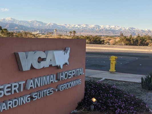 VCA DESERT ANIMAL HOSPITAL - 66 Photos & 284 Reviews - 4299 E Ramon Rd ...