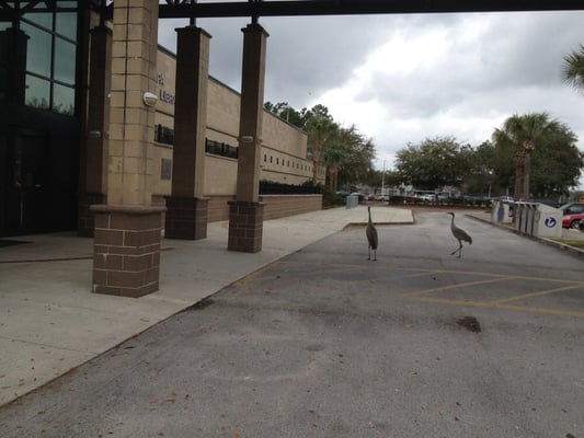 NEW TAMPA REGIONAL LIBRARY - Updated October 2025 - 20 Photos & 21 ...