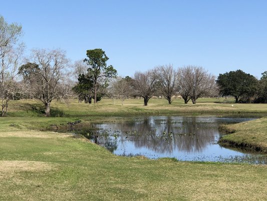 BAYOU DIN GOLF CLUB - Updated December 2025 - 10 Photos - 8537 Labelle ...