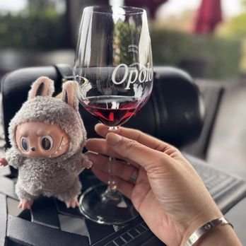 OPOLO VINEYARDS - Updated July 2025 - 790 Photos & 629 Reviews - 7110 ...