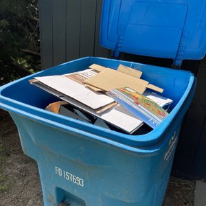 SAN BRUNO GARBAGE CO INC AKA RECOLOGY OF SAN BRUNO - Updated December ...