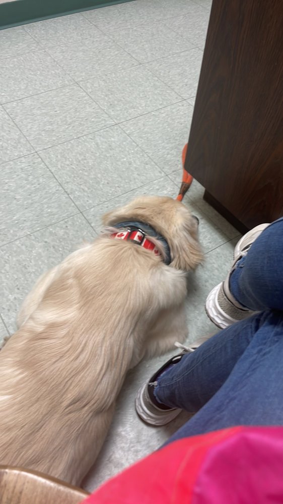 APPLE TREE COVE ANIMAL HOSPITAL - Updated September 2025 - 21 Reviews ...