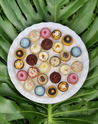 ALOHA BITES - Updated December 2025 - 60 Photos & 18 Reviews - 30A ...