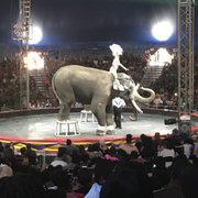 UNIVERSOUL CIRCUS - 53 Photos & 49 Reviews - Performing Arts - Atlanta ...