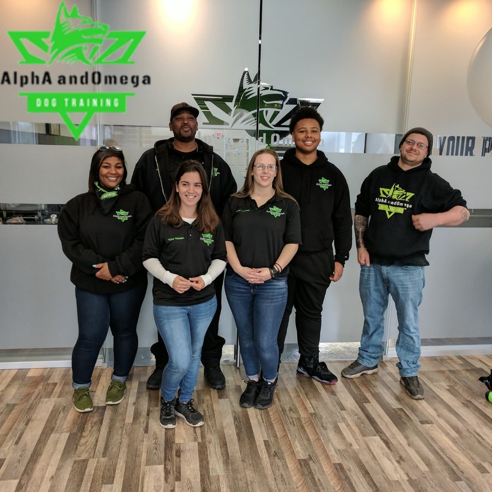 ALPHA AND OMEGA DOG TRAINING - Tampa, Florida - Pet Training - Phone ...