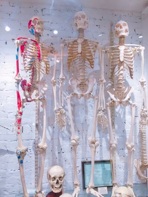 THE EVOLUTION STORE - 312 Photos & 186 Reviews - 687 Broadway, New York ...