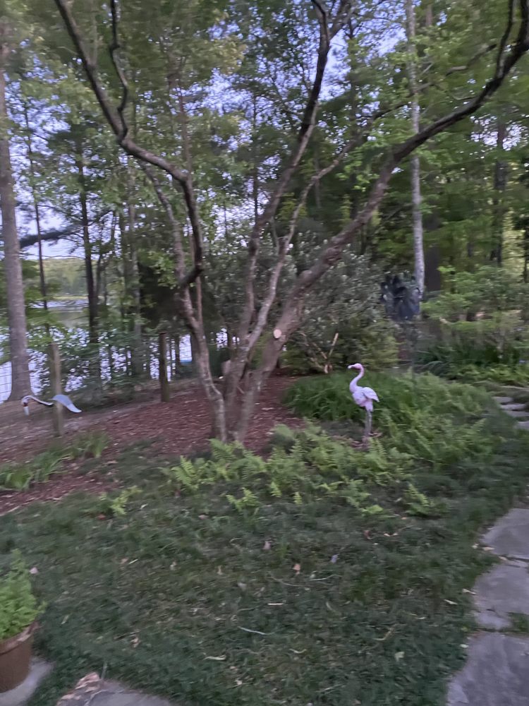 SOUTHERN ROOTS LANDSCAPE CREATIONS - Updated May 2025 - Request a Quote ...