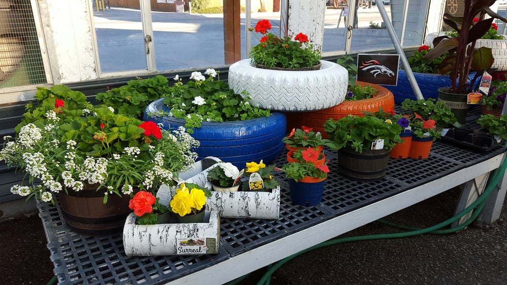 BUFFALO GARDENS - Updated December 2025 - 262 N Main St, Buffalo ...