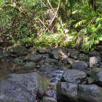 WAIMANO LOOP TRAIL - Updated January 2026 - 451 Photos & 90 Reviews ...