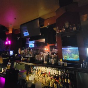 THE BLUE LIGHT - 181 Photos & 536 Reviews - 1979 Union St, San ...