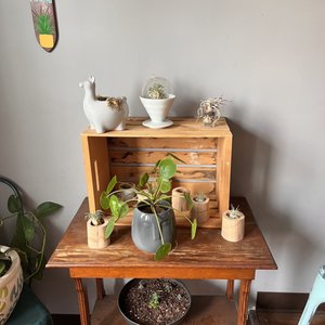 BANTAM COFFEE ROASTERS - 16 Photos - 82 Steinwehr Ave, Gettysburg ...