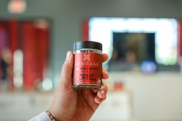 RED FALCON - Updated January 2026 - 120 Photos & 14 Reviews - 46419 ...