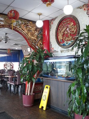 FOON YING CHINESE RESTAURANT - 61 Photos & 84 Reviews - 3770 N ...