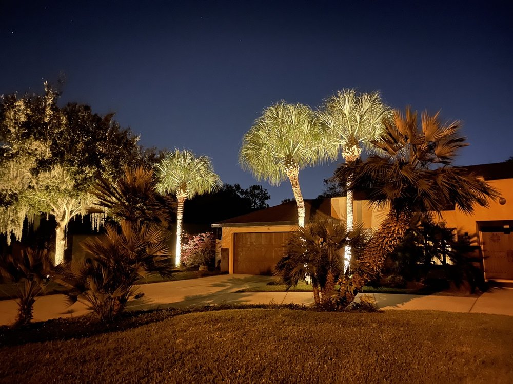 TIP TOP TREE EXPERTS - Updated October 2025 - 30 Photos & 15 Reviews ...