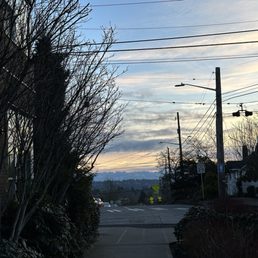 FRESH FLOURS - Updated June 2025 - 264 Photos & 195 Reviews - 1624 S ...