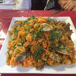 SOL CAFE - Updated August 2025 - 155 Photos & 64 Reviews - 31 ...