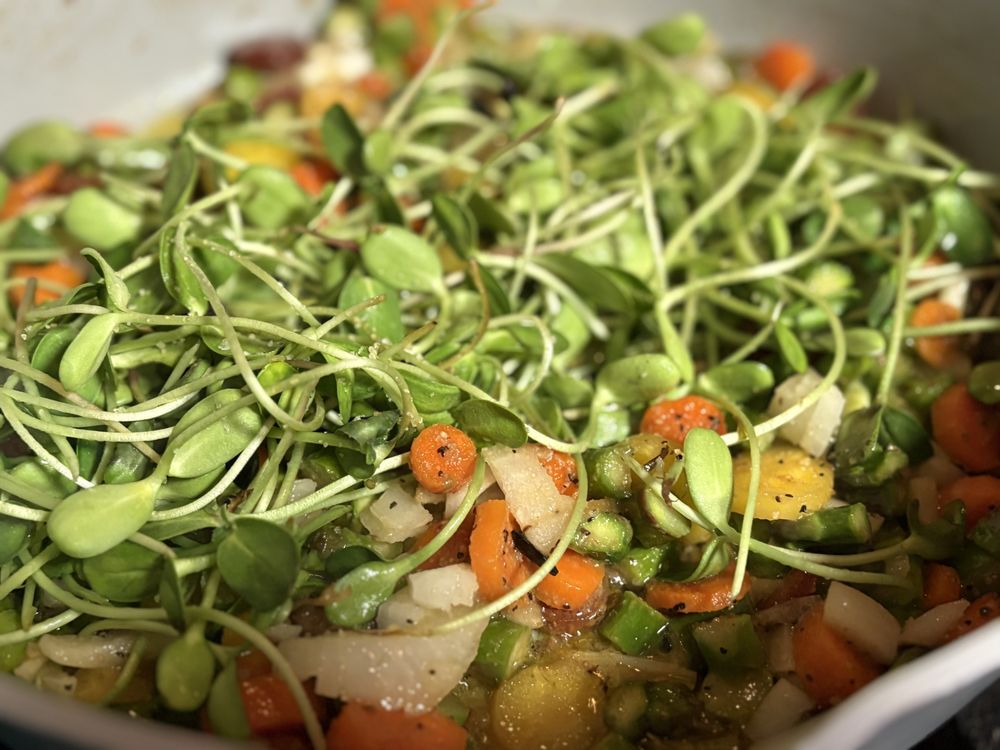 SANDERS FUNNY FARM - Updated January 2026 - 21 Photos - Indianapolis ...