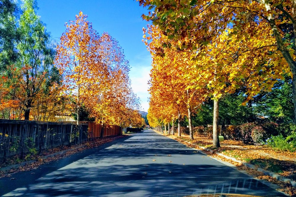 GRAYSON COMMUNITY MANAGEMENT - Updated May 2025 - 18 Photos & 97 ...