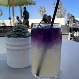 THE KITCHEN MCASD - Updated December 2025 - 224 Photos & 77 Reviews ...