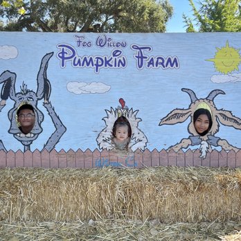 FOG WILLOW FARMS - Updated October 2025 - 484 Photos & 192 Reviews ...