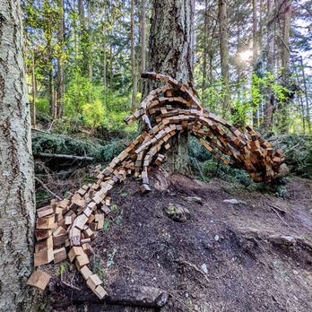 PRICE SCULPTURE FOREST - Updated October 2024 - 199 Photos & 21 Reviews ...