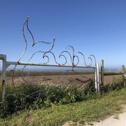 COWELL RANCH BEACH - 562 Photos & 77 Reviews - Hwy 1, Half Moon Bay ...