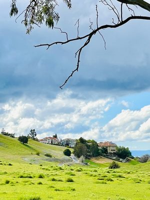 SANDY WOOL LAKE - Updated December 2025 - 121 Photos & 21 Reviews ...