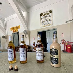 OCEAN LAB BREWING CO - Updated March 2025 - 11 Photos - Square at San ...