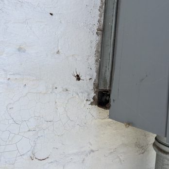 HOJI TEA COMMUNITY - Updated June 2024 - 243 Photos & 126 Reviews ...