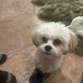 ARCADIA ANIMAL CLINIC - Updated January 2026 - 36 Photos & 109 Reviews ...