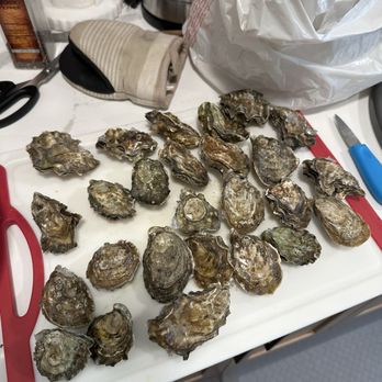 TAYLOR SHELLFISH FARMS - Updated September 2025 - 3057 Photos & 1442 ...