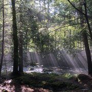 ROUNDSTONE CAMPING RESORT - 39 Photos & 12 Reviews - Campgrounds - 165 ...