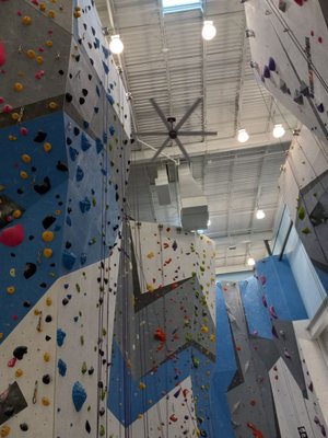 MEMPHIS ROX - Updated December 2025 - 72 Photos & 24 Reviews - 879 E ...