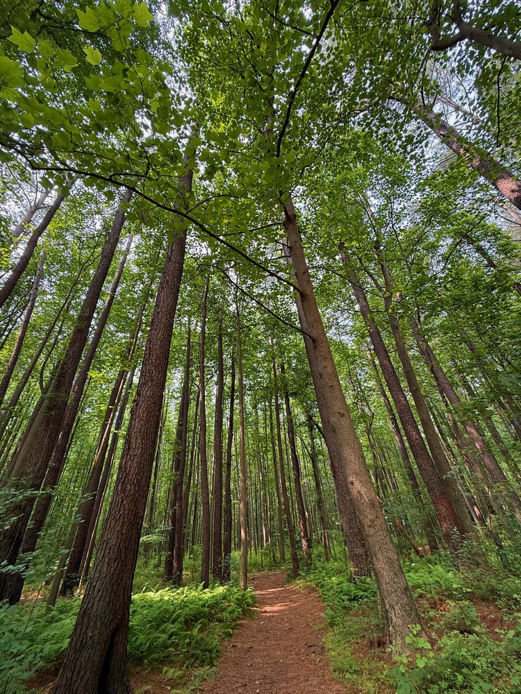 BLACKBIRD FOREST STATE PARK - Updated July 2025 - 502 Blackbird Forest ...