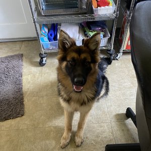 LOMA LINDA ANIMAL HOSPITAL - 167 Photos & 533 Reviews - Veterinarians ...