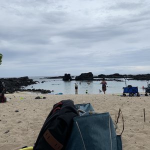 MANINI’OWALI BEACH - 160 Photos & 35 Reviews - Beaches - Kua Bay Access ...