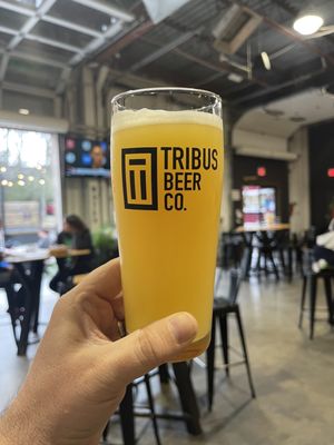 TRIBUS BEER CO. - Updated February 2025 - 144 Photos & 83 Reviews - 100 ...