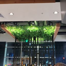 MEDDYS - Updated December 2024 - 59 Photos & 15 Reviews - 4820 E 61st ...