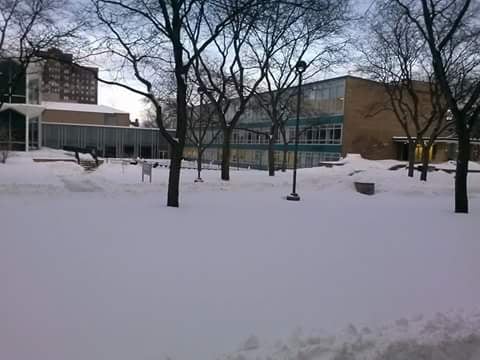 WAYNE STATE UNIVERSITY - Updated December 2025 - 23 Photos & 48 Reviews ...