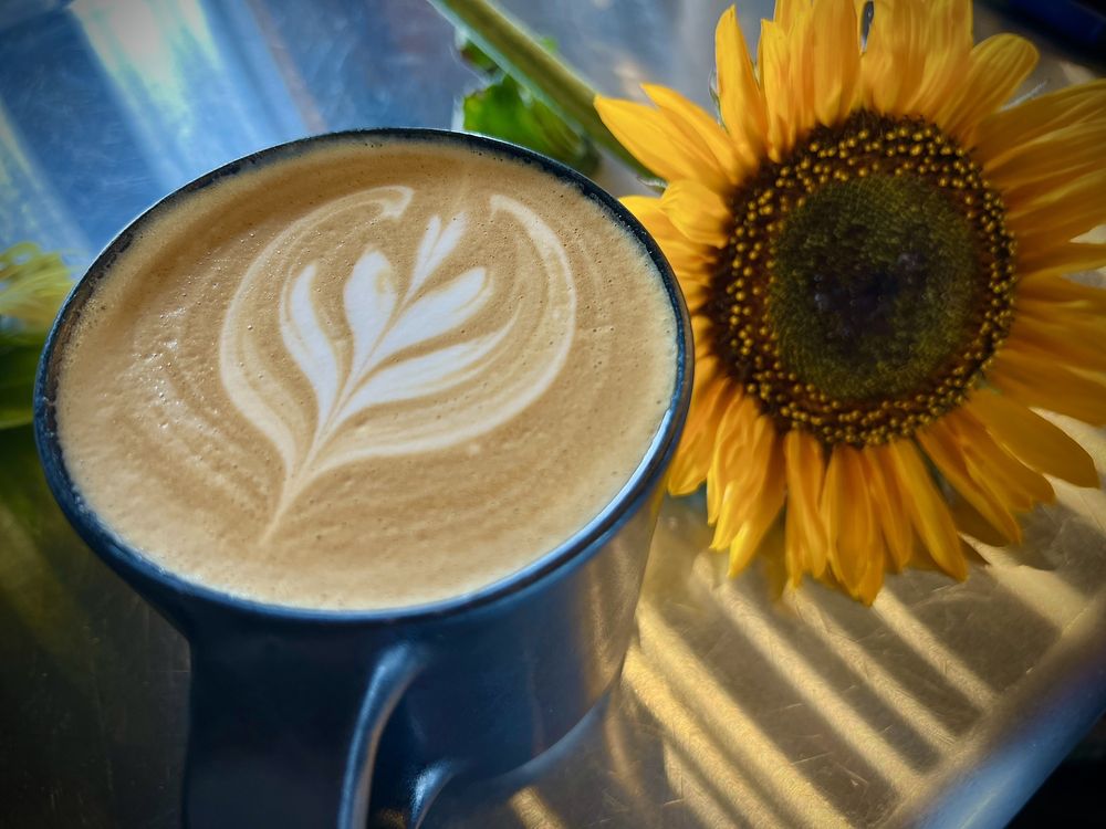 LONGSTORY COFFEE - Updated December 2024 - 43 Photos & 29 Reviews - 732 ...