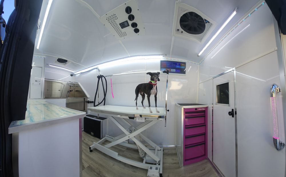 GENTLE PAWS HAWAII - Updated December 2025 - 19 Photos - 3251 Monsarrat ...