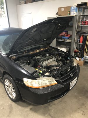 BAYSIDE AUTO CARE - Updated January 2026 - 24 Photos & 10 Reviews ...