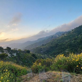 WILACRE PARK - Updated December 2025 - 446 Photos & 177 Reviews - 3431 ...