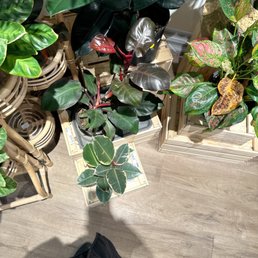 ICHA TEA - Updated January 2026 - 102 Photos & 23 Reviews - 996 Queen ...