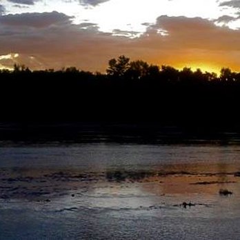 PASEO DEL BOSQUE TRAIL - Updated January 2026 - 127 Photos & 29 Reviews ...