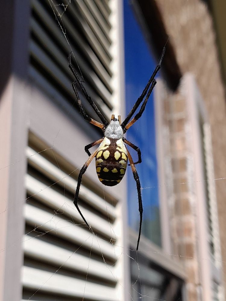 ROSIE’S PEST CONTROL - Updated November 2025 - 13 Photos & 17 Reviews ...