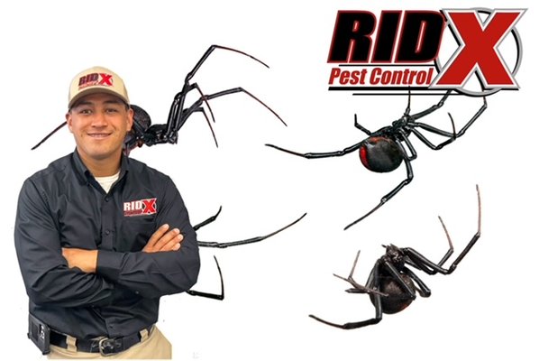 RIDX PEST CONTROL - Updated October 2025 - 186 Photos & 20 Reviews ...